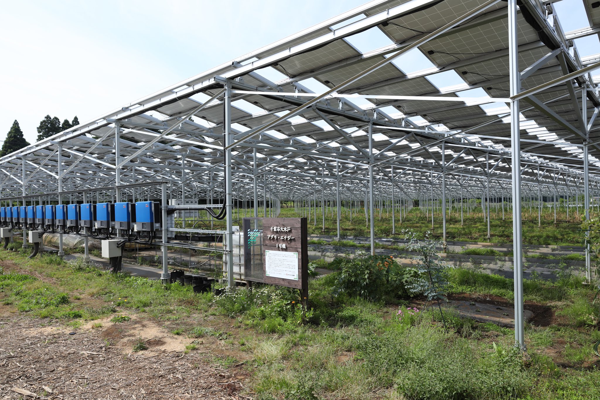 ソーラーシェアリング特化型O&Mサービスを千葉県で開始 ～これからを見据えた遠隔監視型O&Mにより、第1号事例が安定稼働中～ – 自然電力株式会社